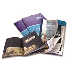 Product Details - 4Wilmer